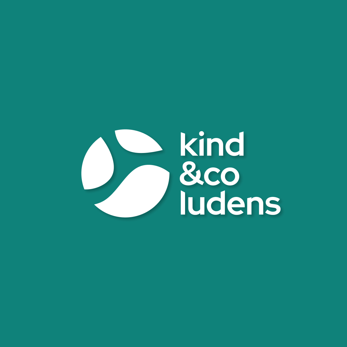 Kind & co ludens: Een toekomst vol kleur - Arthur & Brent